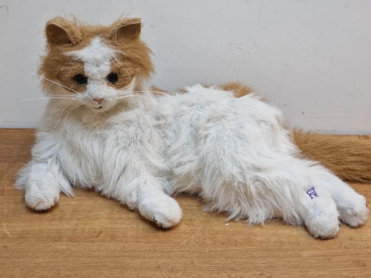 Veilinghuis-Online - kavel-details Robot Kat