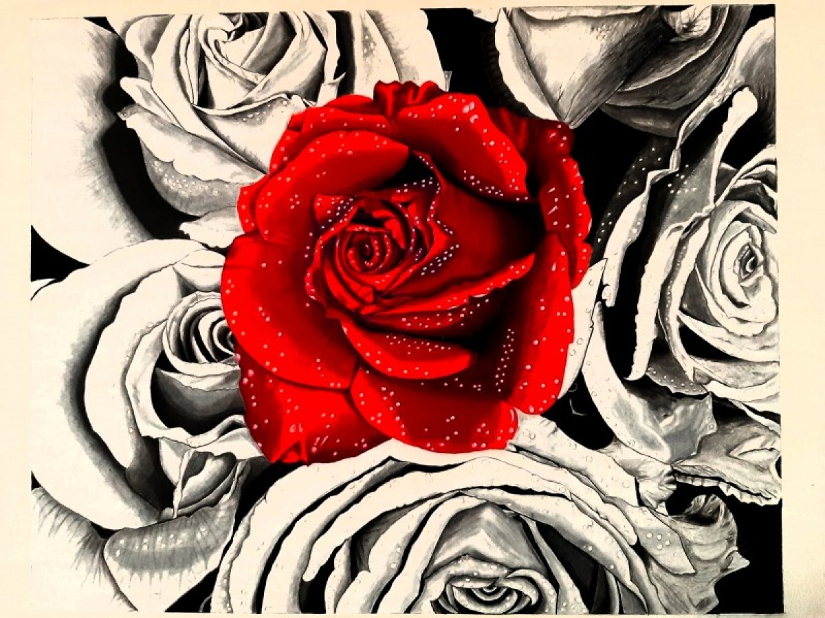 Veilinghuis-Online - kavel-details (Foto) Tekening - Roos