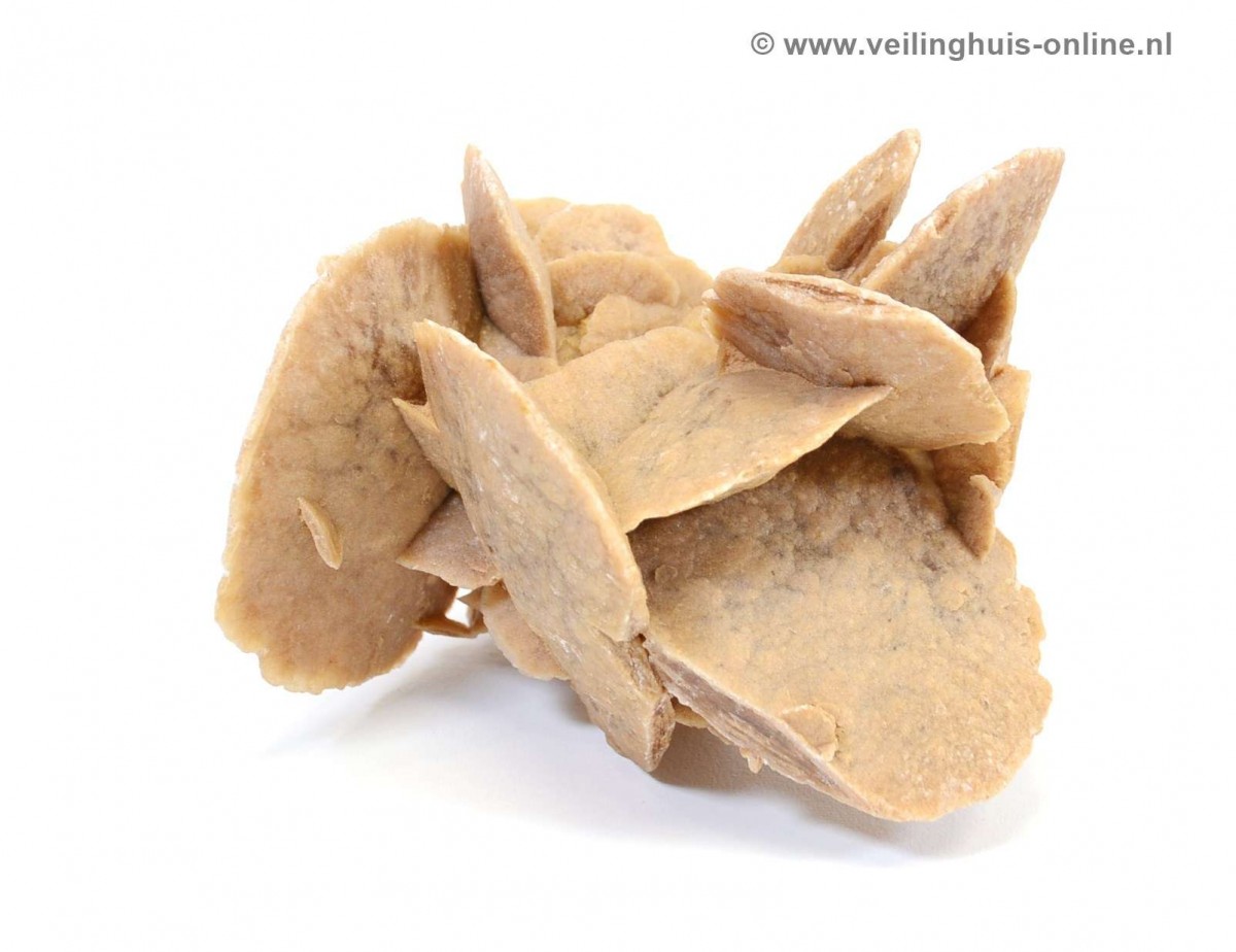 Veilinghuis-Online - kavel-details Woestijnroos/ Selenietroos