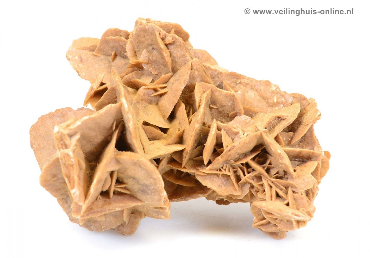 Veilinghuis-Online - kavel-details Woestijnroos /Selenietroos